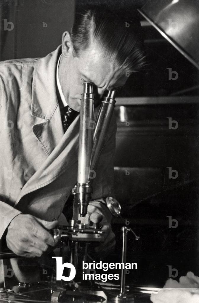 Image of Operation on an expensive tropical fish in “piscice-clinic ...