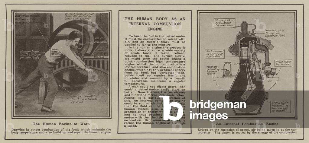 Image of The Human Body as an Internal Combustion Engine (litho) by ...