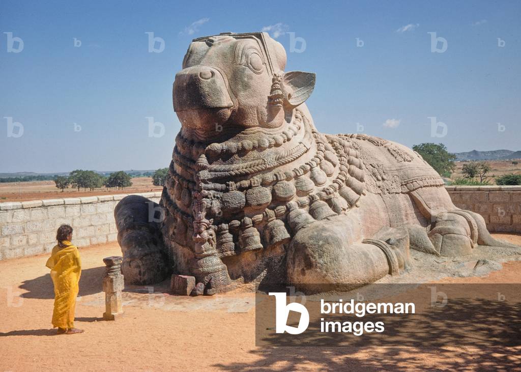 Image of Nandi, bull mount of Siva, in granite, Lepakshi, Vijayangar, 1978