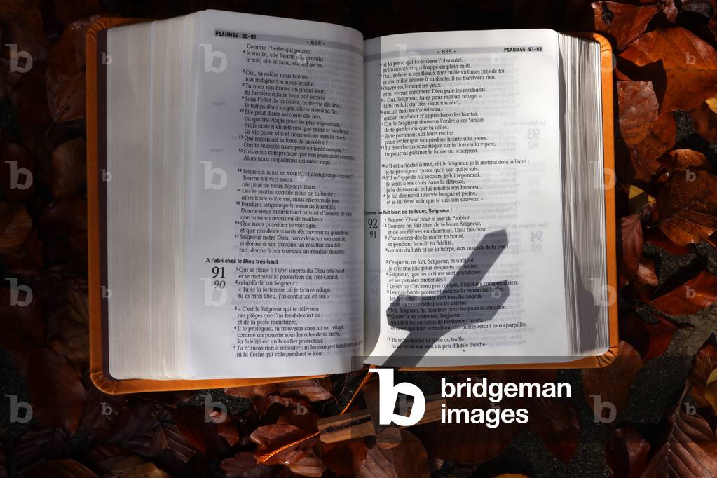 Open bible and christian cross on dry fallen autumn leaves. Faith and ...