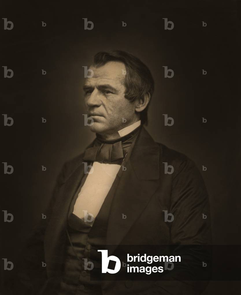 Image of Andrew Johnson (18018-75), 17th President of the United States ...