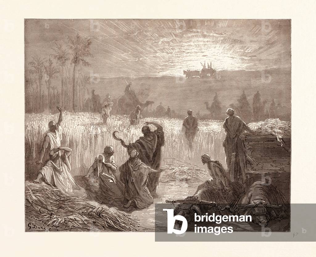 Image of The Return of the Ark to Beth-Shemesh by Dore, Gustave (1832-83)