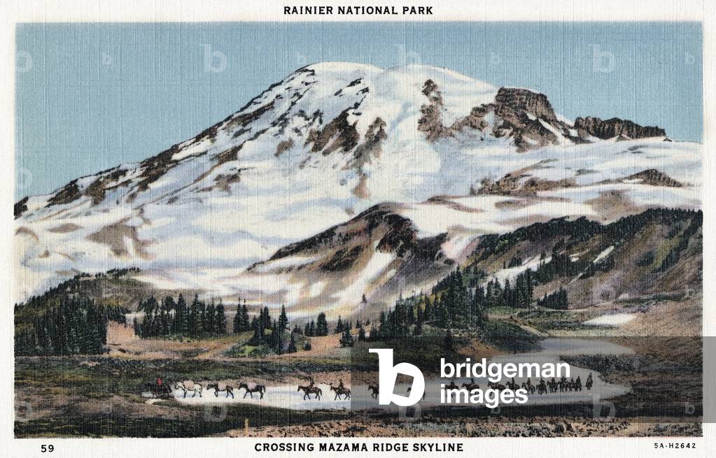 Rainier Mazama Ridge