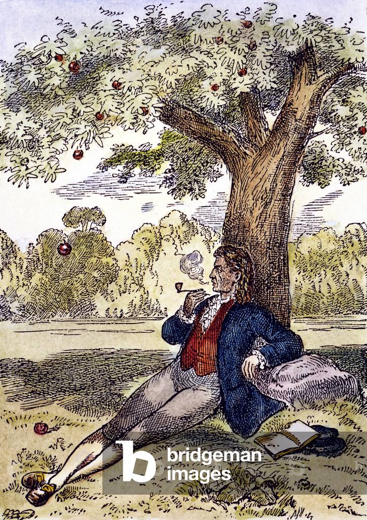 Isaac Newton Apple