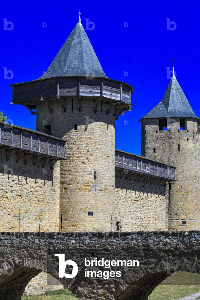 Image of Wall, tower and the reconstructed wooden hoarding of the Count's