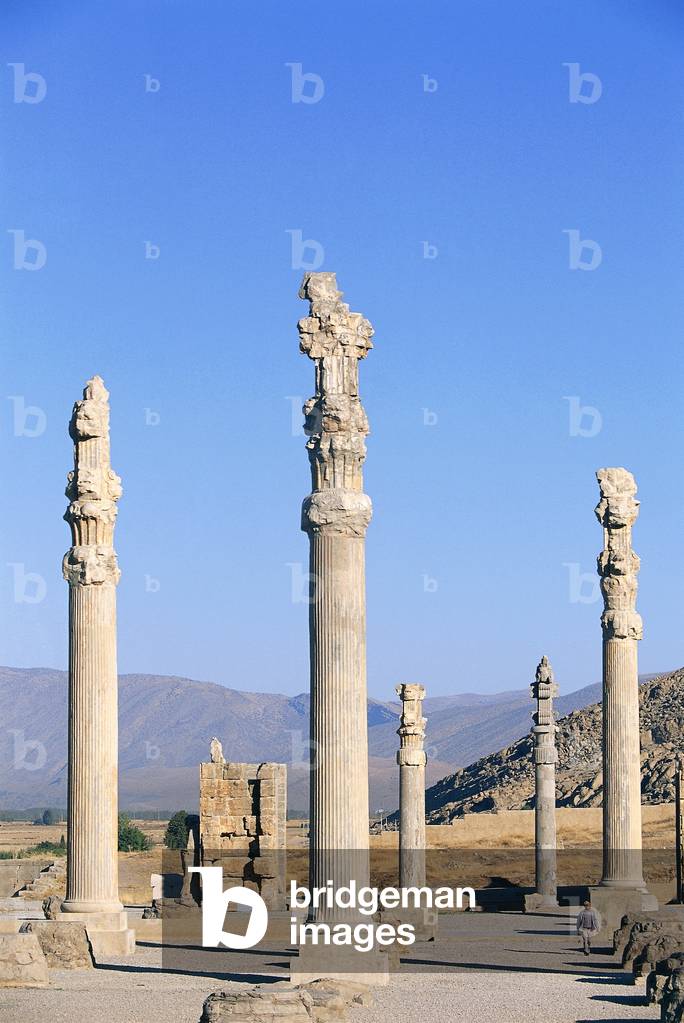 Image of Iran, Persepolis, Apadana Palace, columns