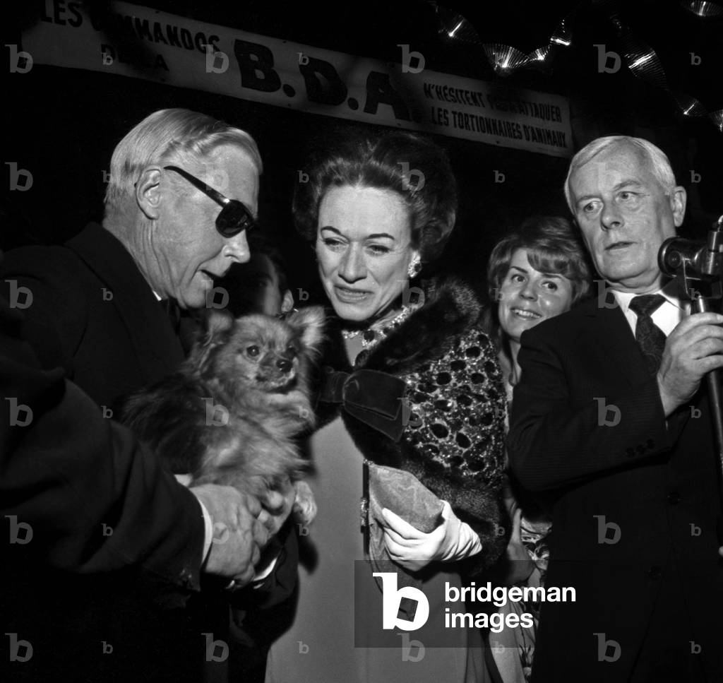 Image of Duke Edward of Windsor (former king Edward VIII) and his by ...