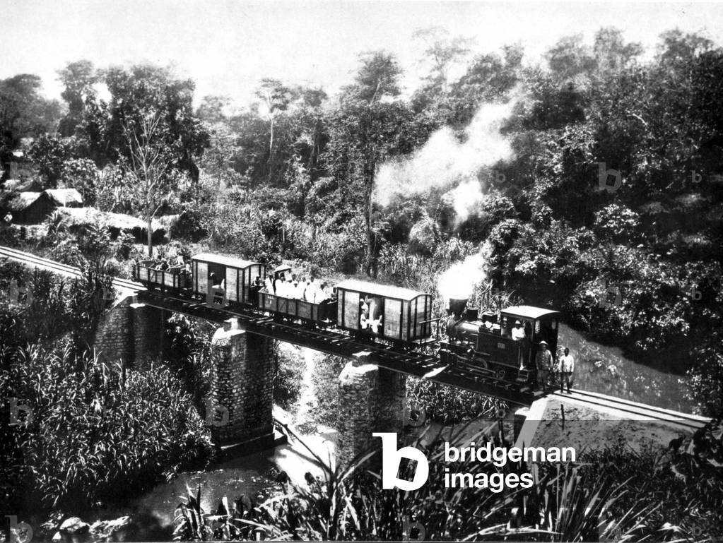 Image of the Sigi line across the forest : railway line build