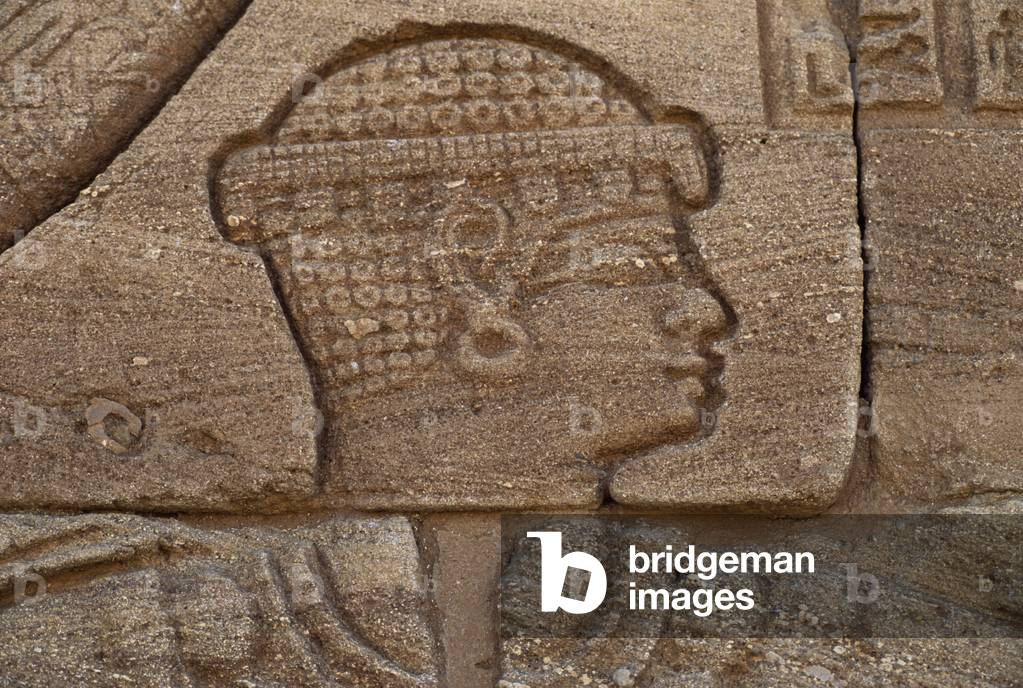 Image of Bas-relief, Lion Temple, Mussawwarat, Naga, Kingdom of Kush ...