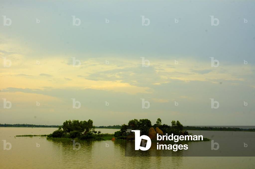 Image of Chalan beel, one of the largest wetland of Bangladesh. Natore,