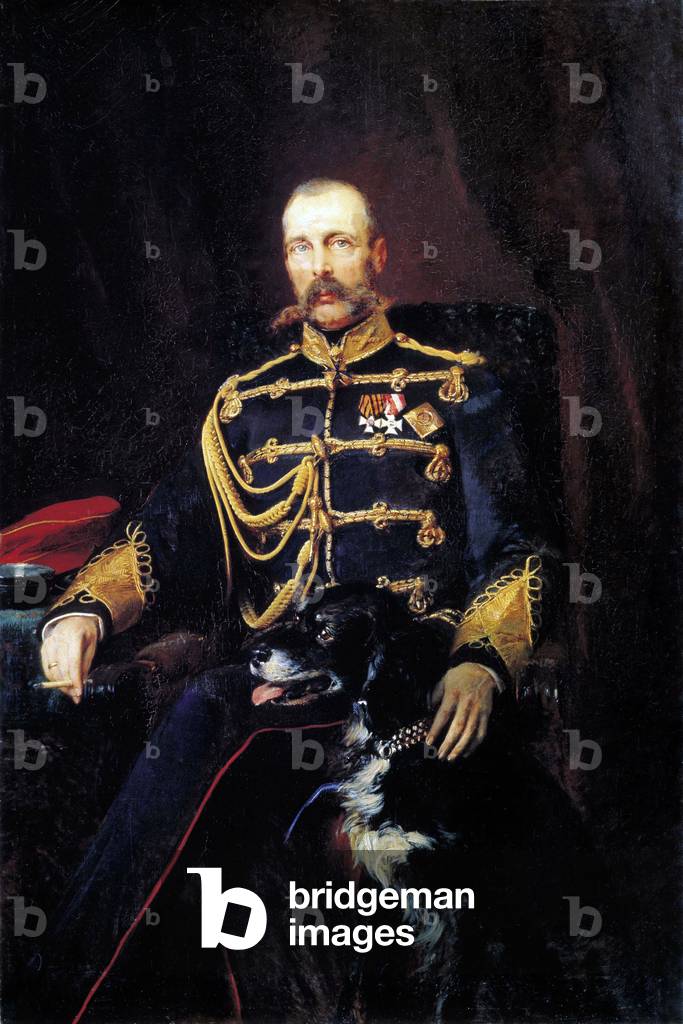 Image of Alexandre II (1818-1881), Tsar de Russie, 1881 (huile sur ...