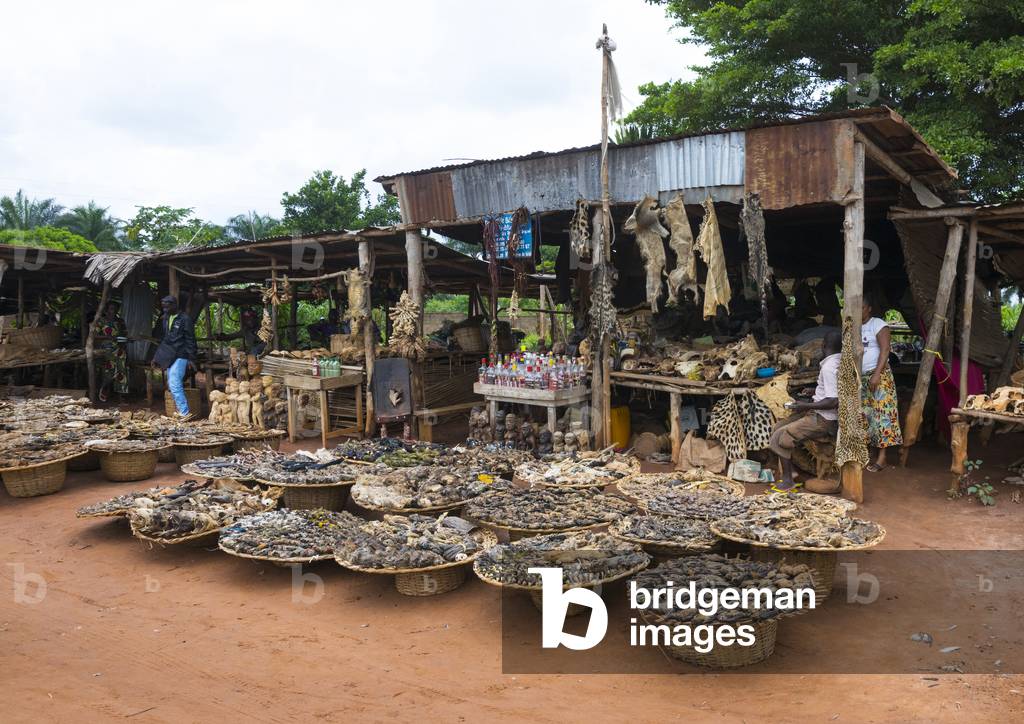 Image of Benin, Bonhicon, a voodoo market with many cut heads and