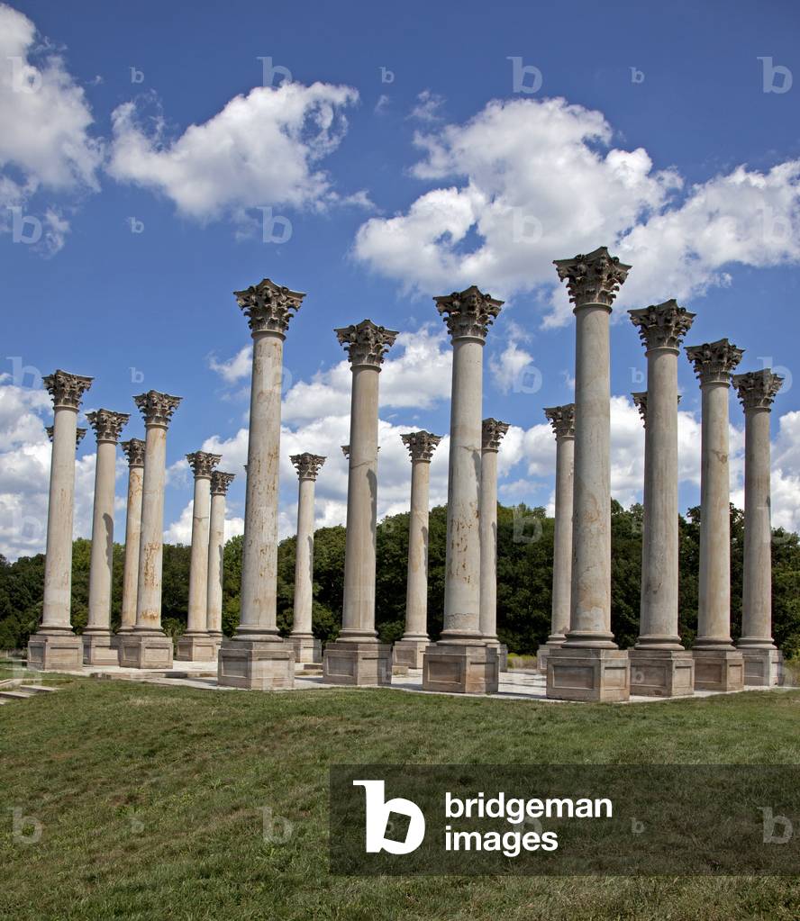 Image of National Capitol columns (photo)