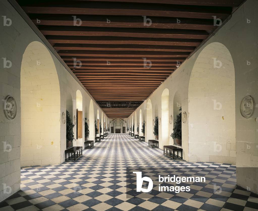 Image of France, Chateau de Chenonceau, Loire Valley, arcade bridge ...