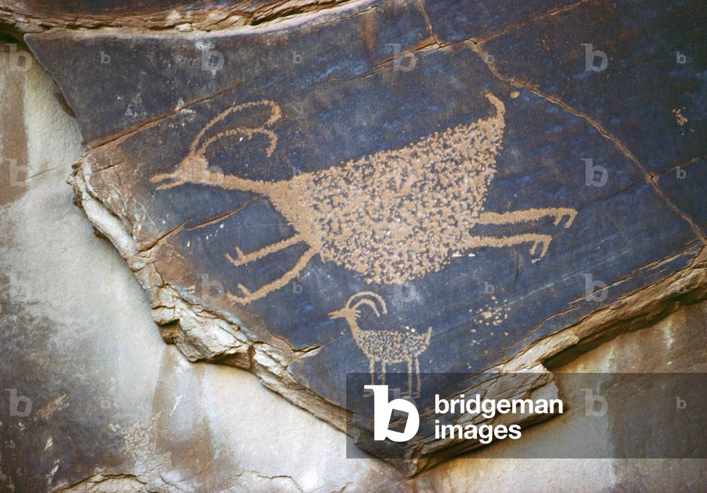 Image of Bighorn sheep, petroglyphs, Sun's Eye natural arch, Monument ...