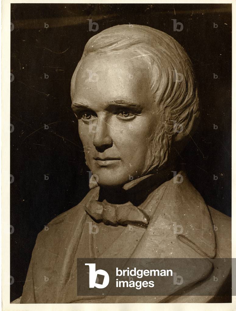 Robert Darwin's Instagram, Twitter & Facebook on IDCrawl