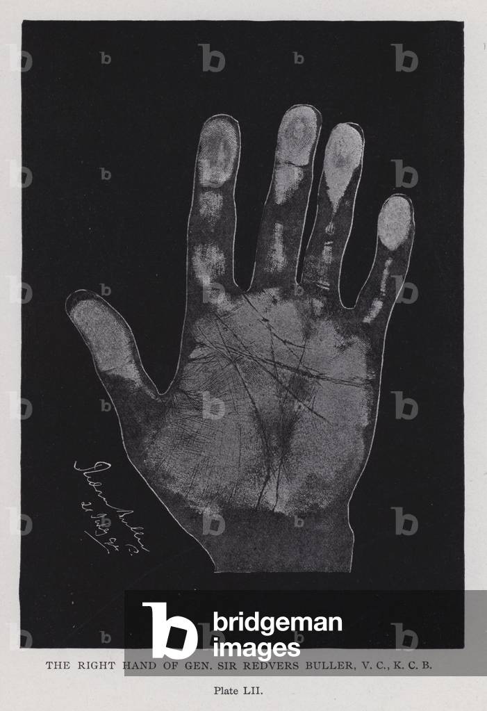 Image of The right hand of Gen Sir Redvers Buller (b/w photo) by ...