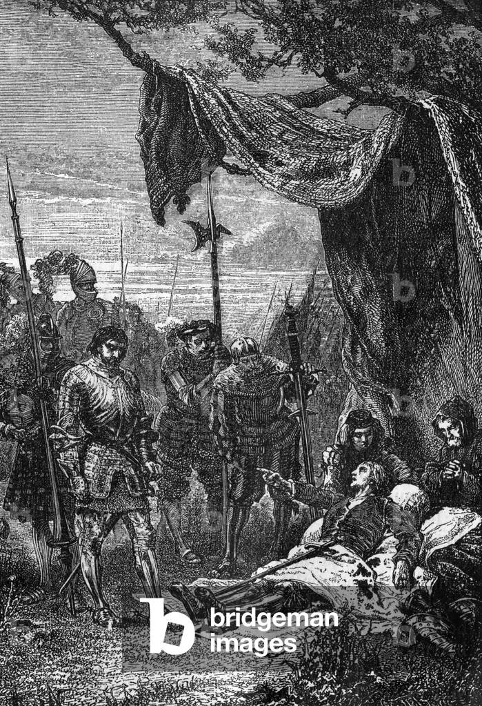 Image of The Knight Bayard