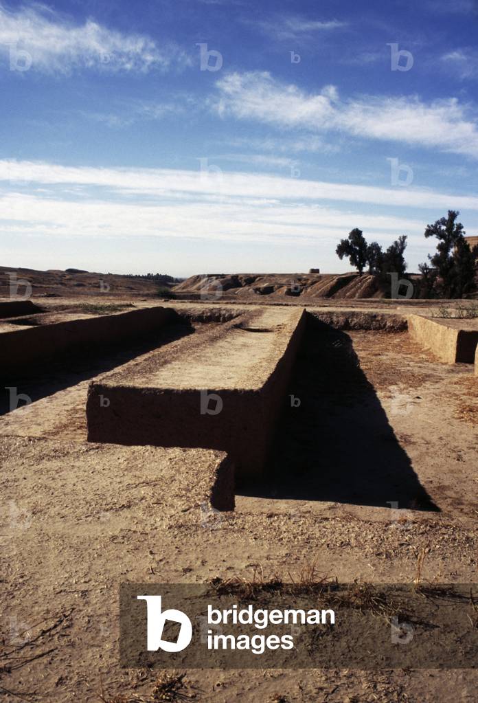 Archaeological site of Susa, Iran, Achaemenid civilization