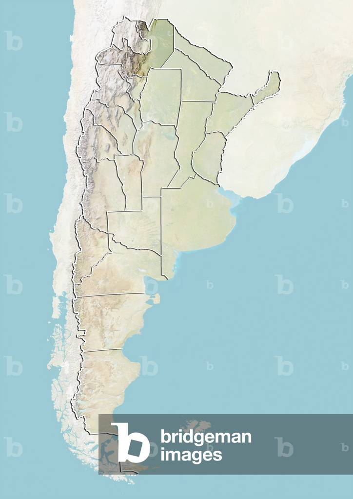 Image of Argentina and the Province of Salta, Relief Map