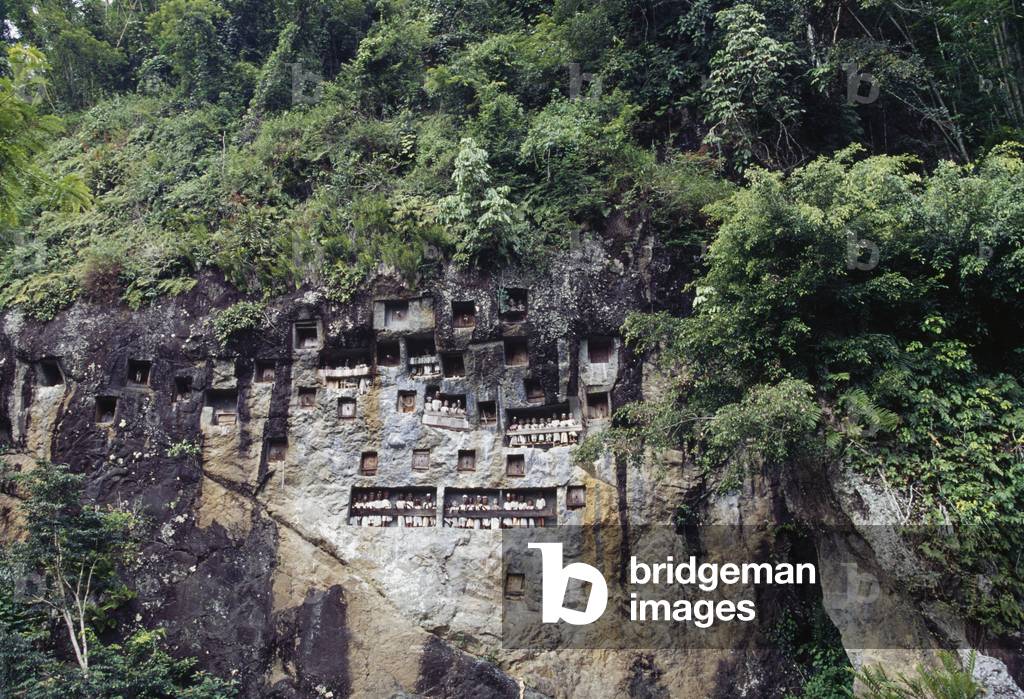 Image of Funeral niches with Tau Tau mortuary figures, Lemo village, Tana