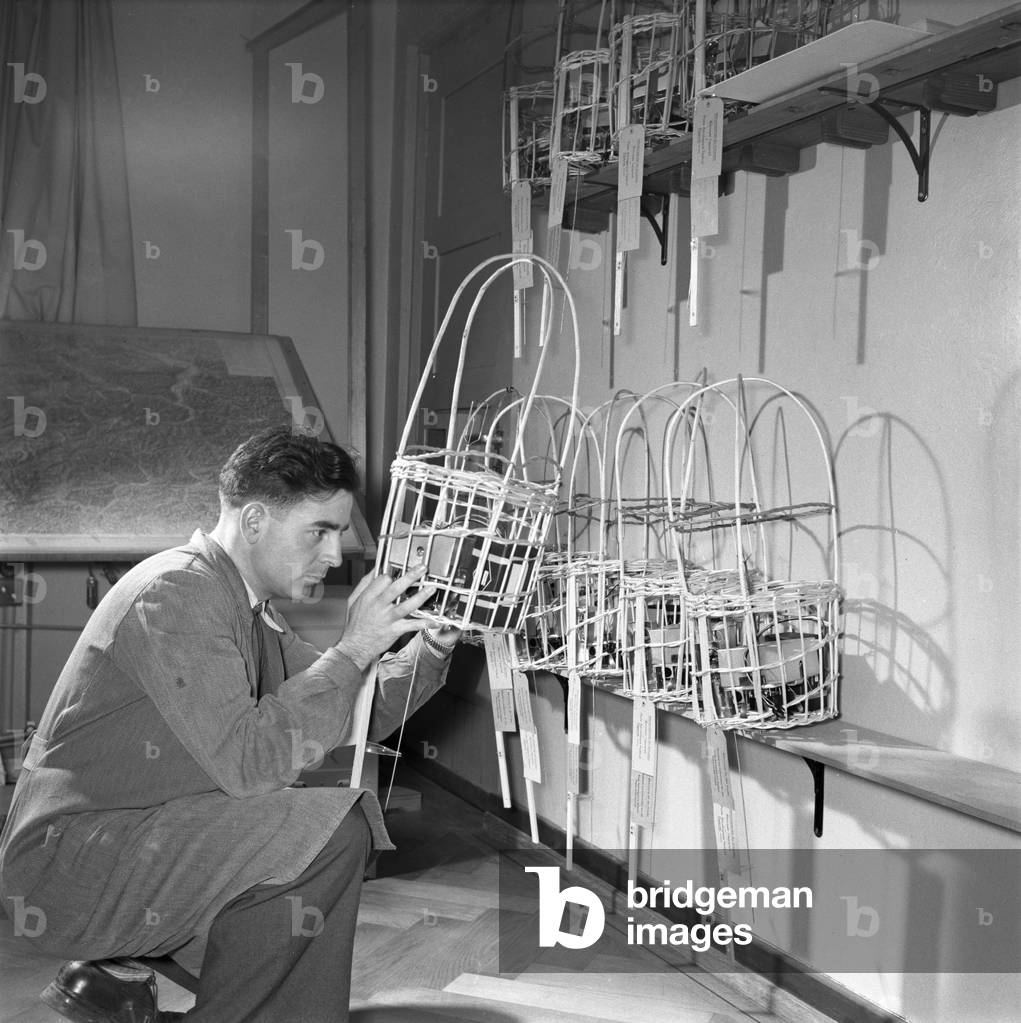 Image of Switzerland Aero Logical Station Payerne, 1953 (b/w photo)