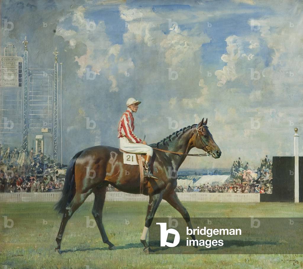 Image of 'Solario', c.1926 (oil on canvas) by Munnings, Alfred (1878-1959)