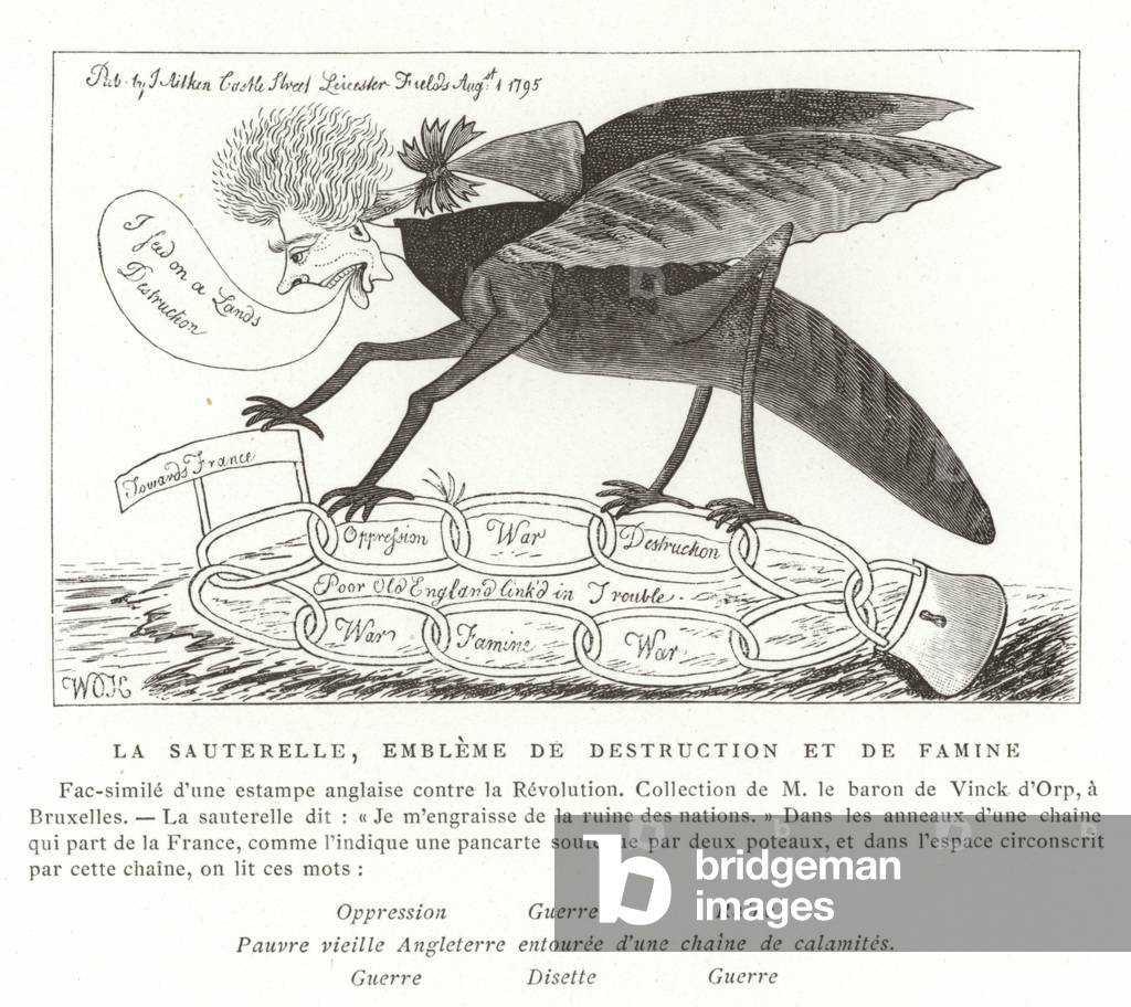 Image of The locust, emblem of destruction and famine (engraving) by ...